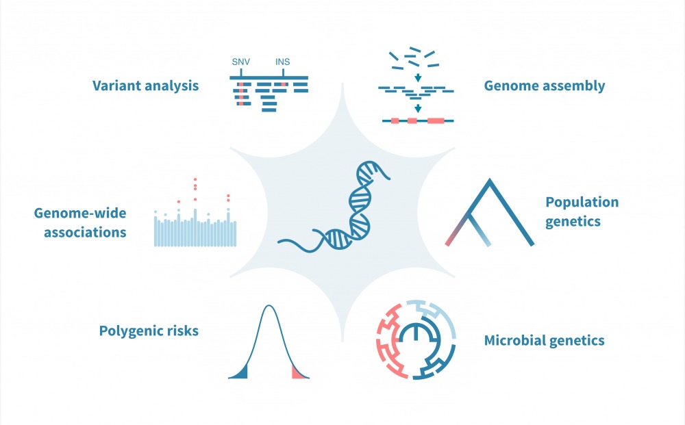 BIOINFORMATICS FOR GENETICS